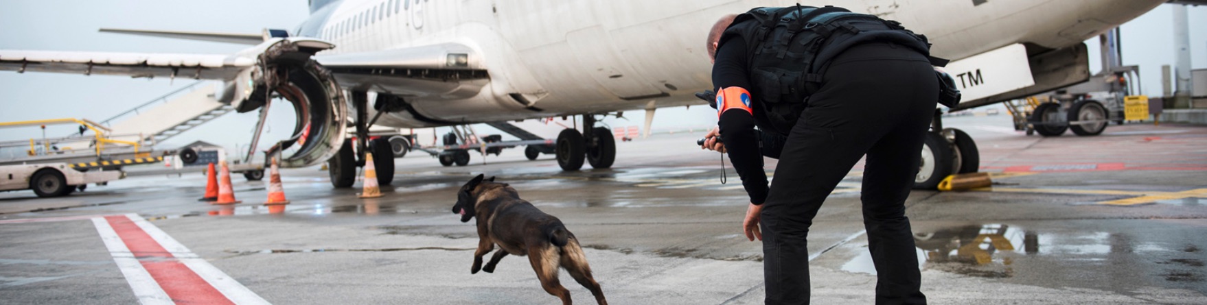 EU Project ‘Bullseye’ - NCT CBNW