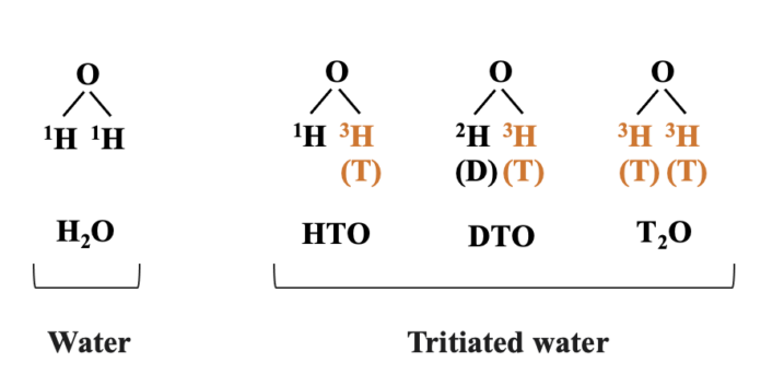 Fukushima Water Discharge: The Science Behind the Decision - NCT CBNW