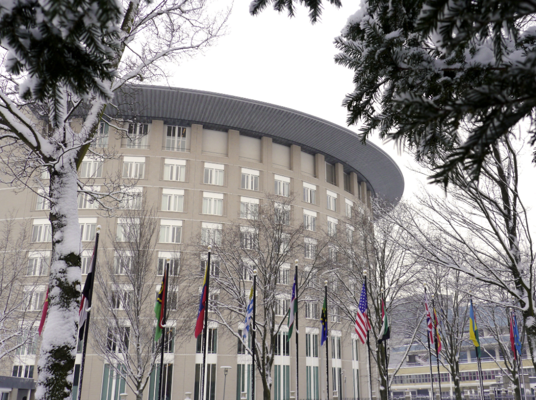 La Participación del Ejército Brasileño de las Actividades de la OPAQ ...
